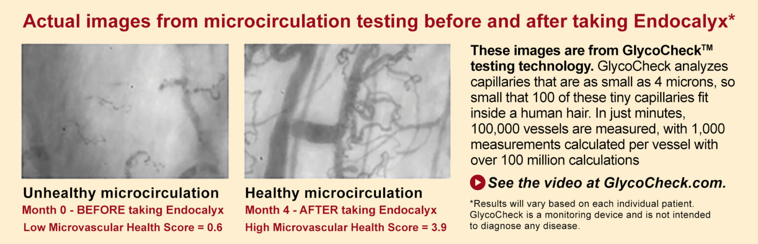 Endocalyx Pro Anti-Aging Supplement – Microvascular