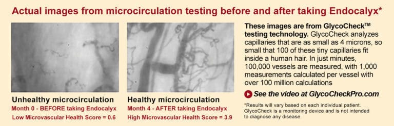 Endocalyx Pro Anti-Aging Supplement – Microvascular